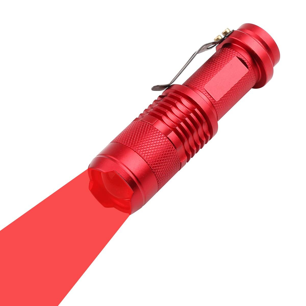 Flashlight with Red Light: What Are the Benefits and Applications ...